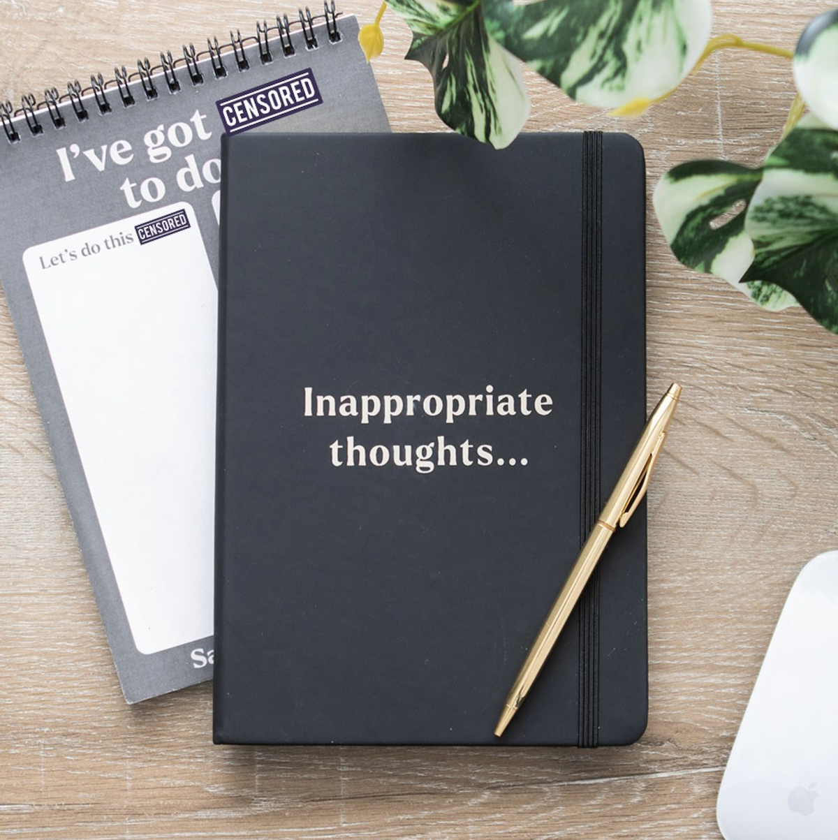 Inappropriate Thoughts Notebook | Gifts from Handpicked