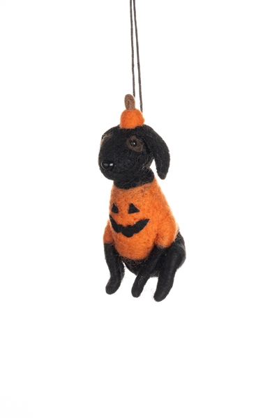 Shoeless Joe Dog in Pumpkin Halloween Decoration| Handpicked